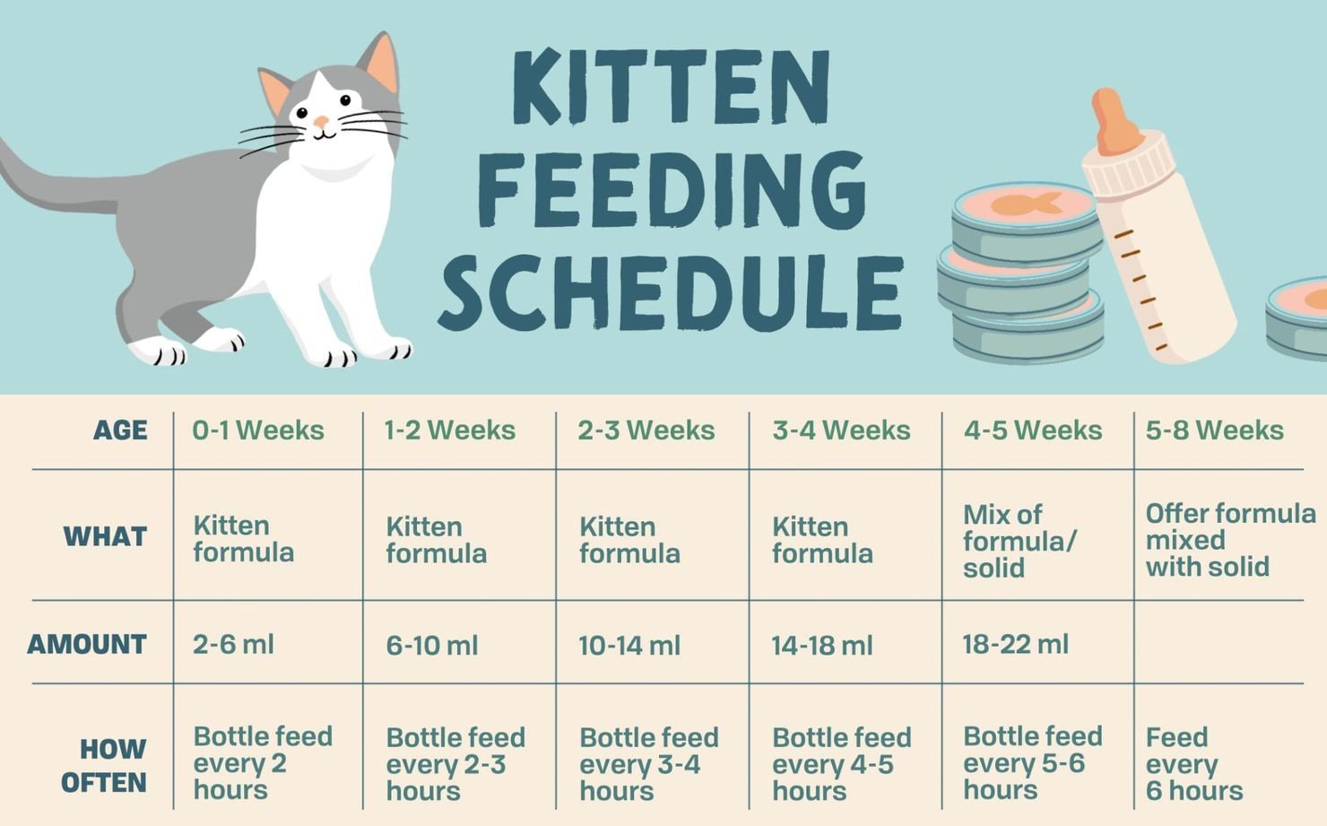 Beavis Professional Kitten Growth Care Follow on Milk (200gm) - Pet Town BD